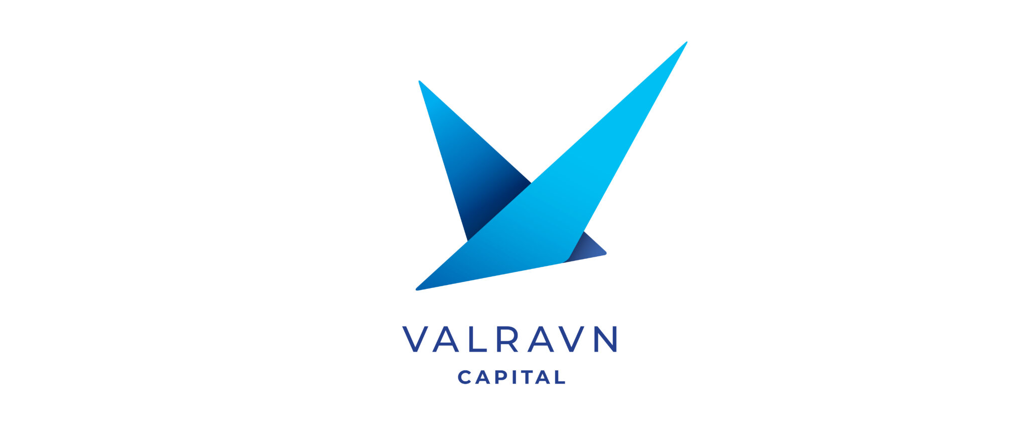 VALRAVN CAPITAL - Solid Branding